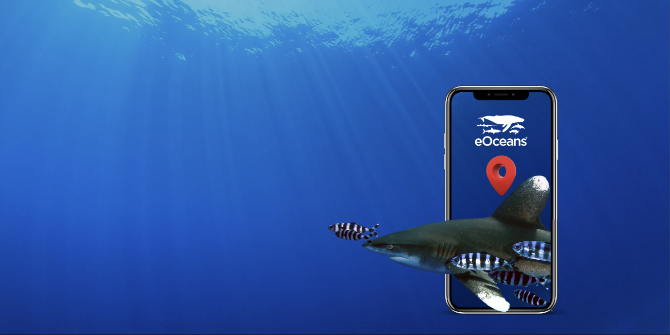 eOceans